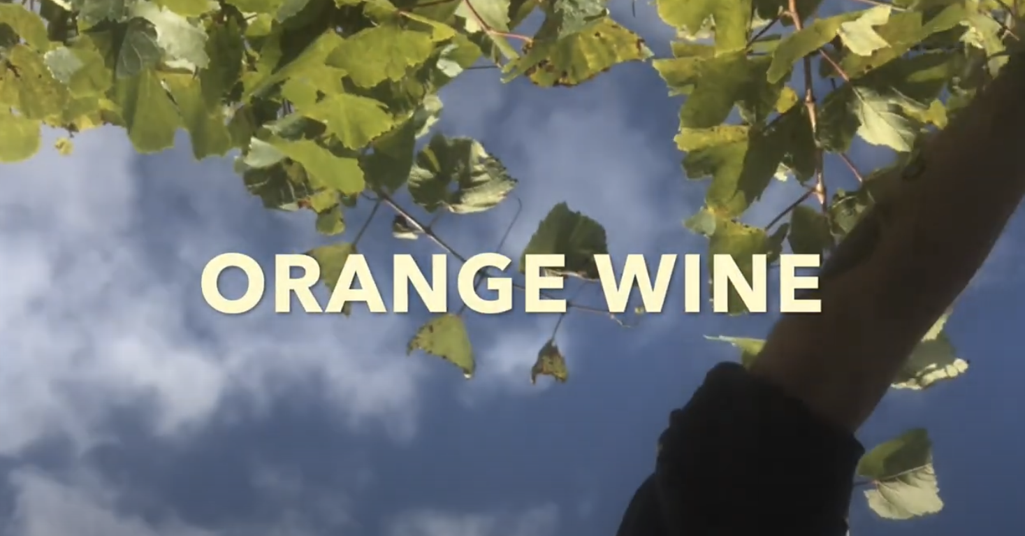 Learn how we make our Orange Wine - video - L'Acadie Vineyards